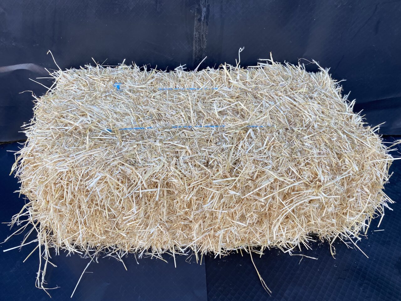 Barley Straw - Sharpes Feed Barn