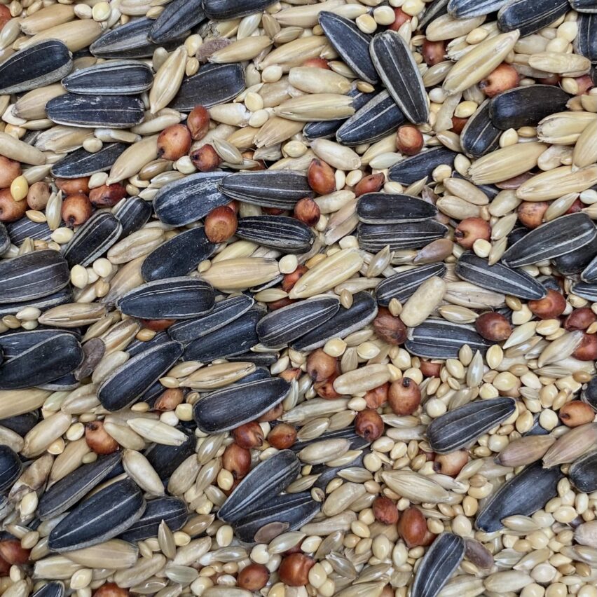 Sharpes Feed Barn: animal feed & gardening supplier for 100 years