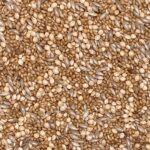 Sharpes Feed Barn: animal feed & gardening supplier for 100 years