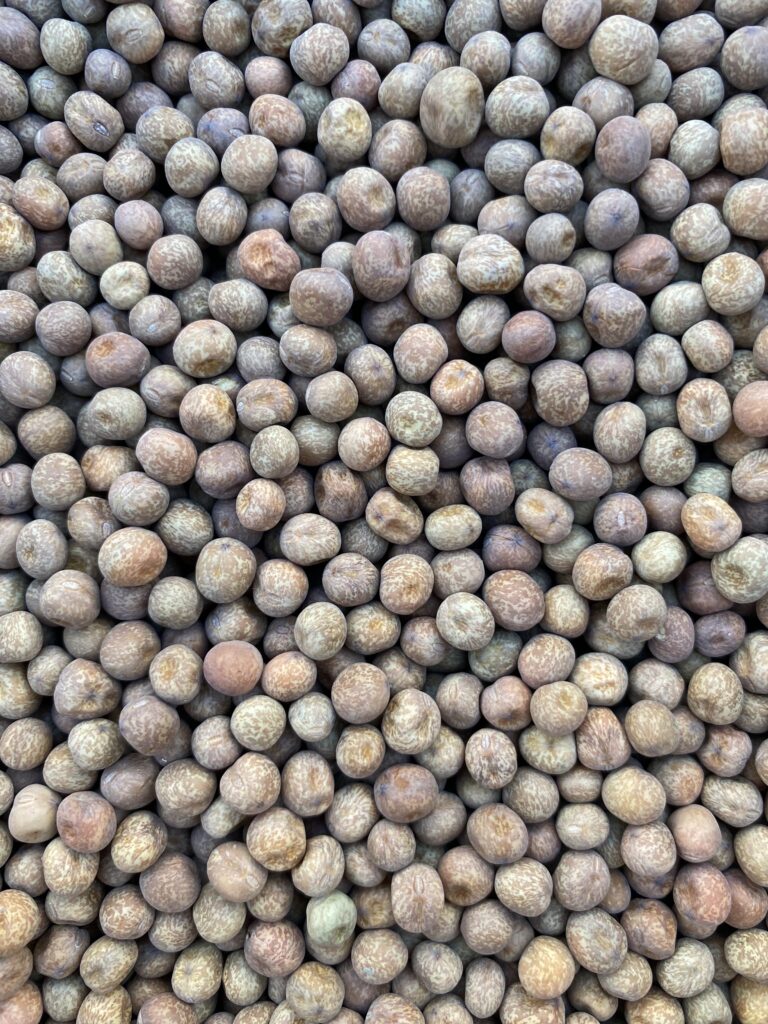Maple Peas - Sharpes Feed Barn