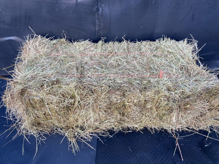 Meadow Hay - Sharpes Feed Barn