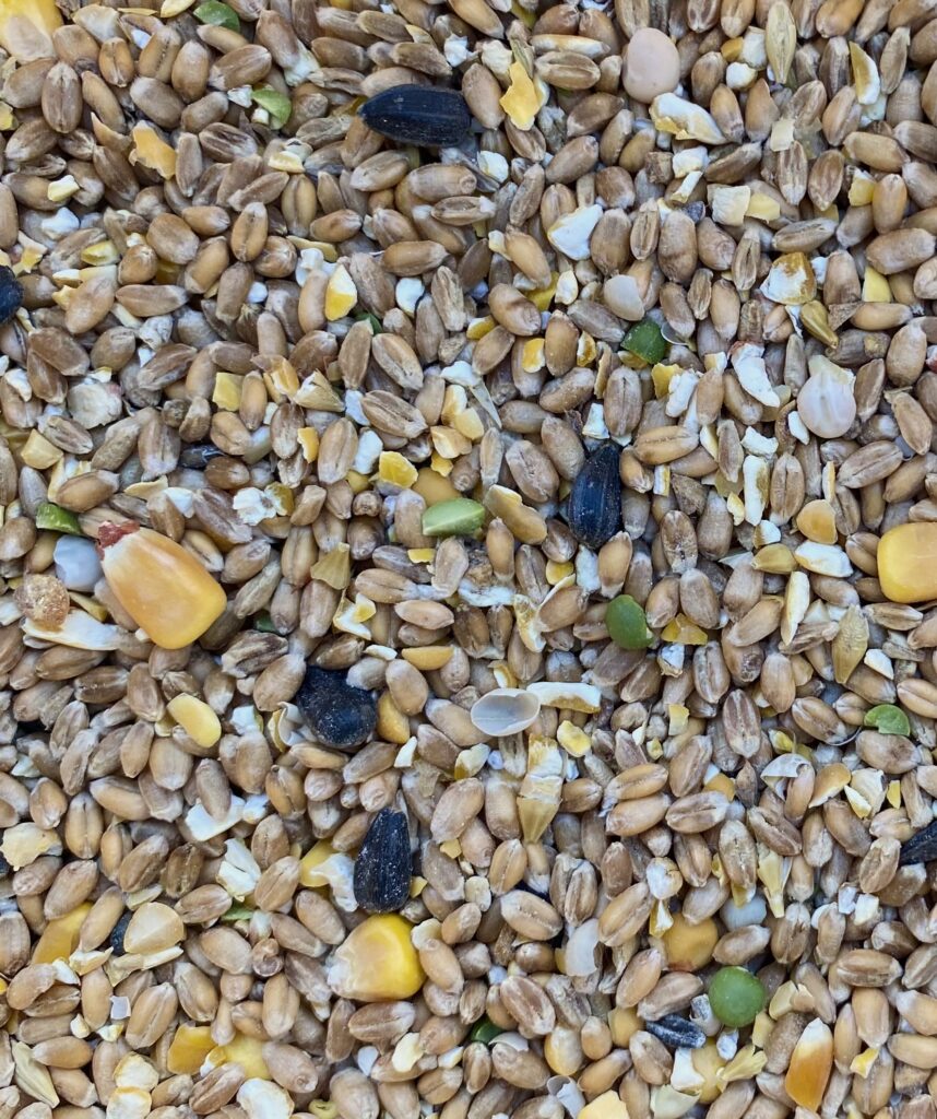 Poultry Mix - Sharpes Feed Barn