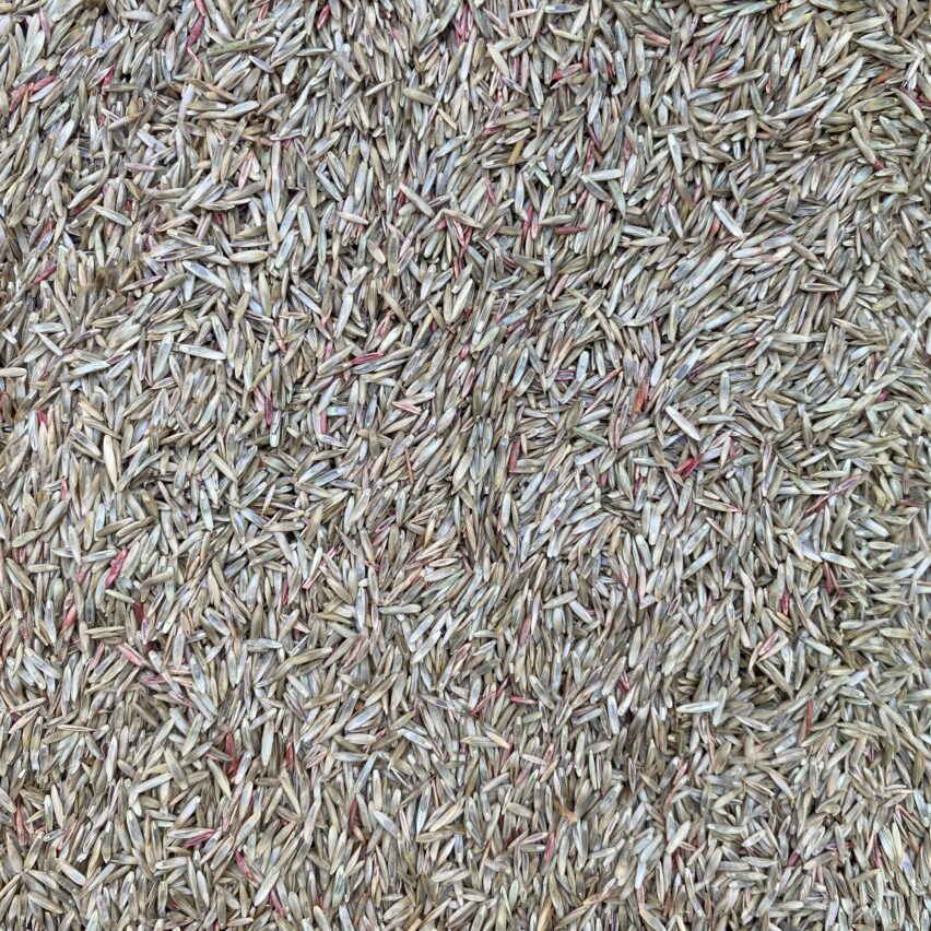Ravensdown Lawn Fertilizer - Sharpes Feed Barn